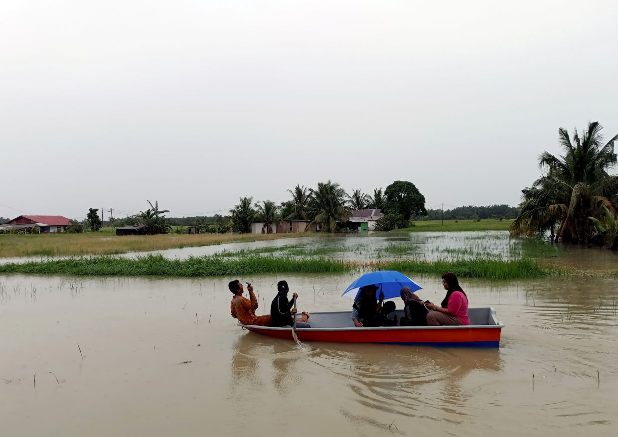 Floods: Padi fields in Sungai Rambai, Melaka, inundated | The Star