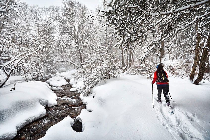 How a hiker survived a 60m fall from an icy trail in California | The Star