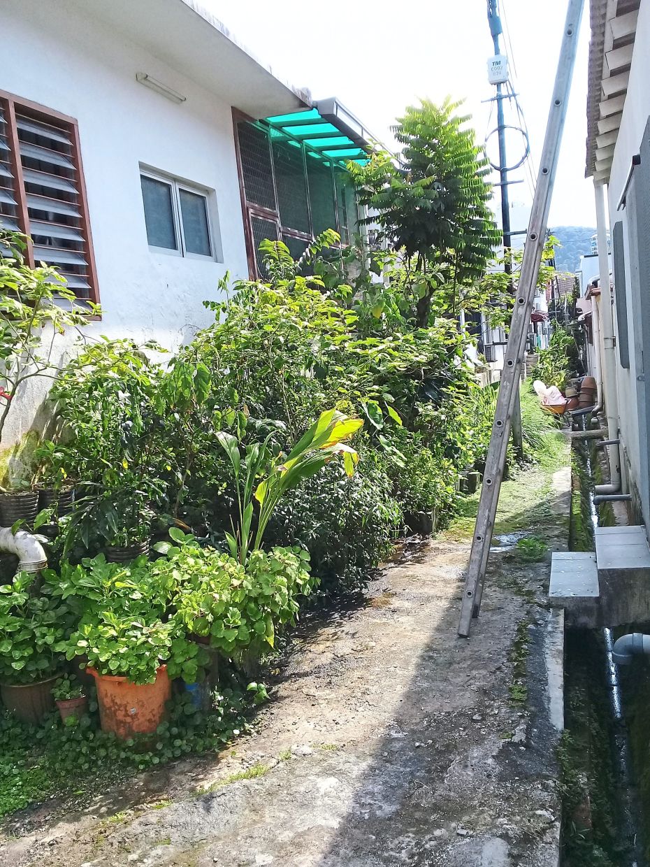 Remove obstructions along back lanes | The Star