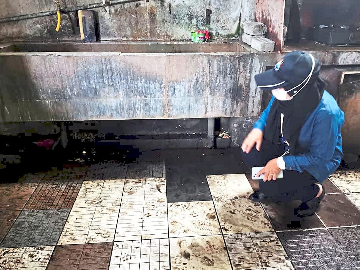 J-Force team records success | The Star