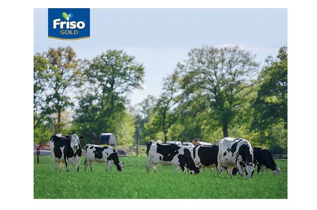 Optimal nutrition for your little one with Friso Gold | The Star