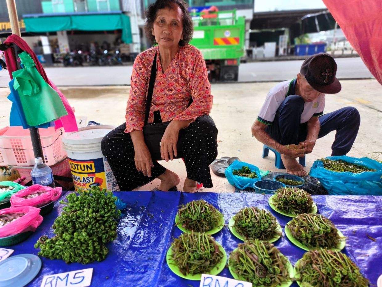 Rain or shine, the native midin is on the menu | The Star