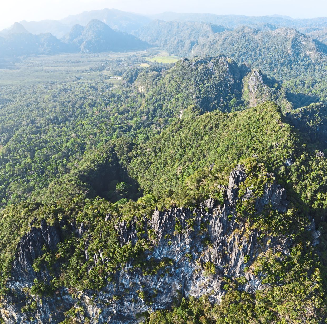 New book to highlight the bioversity of Perlis' Wang Kelian to be ...