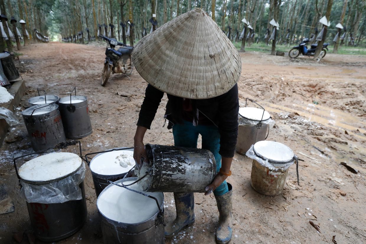 rubber-industry-needs-better-grip-on-competitiveness-klse-screener