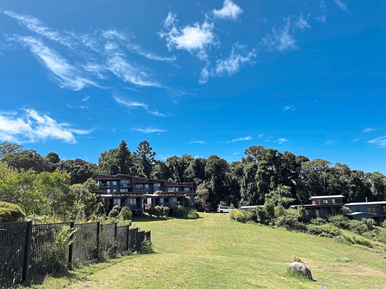 Explore Gold Coast's best kept secret: The Hinterland | The Star