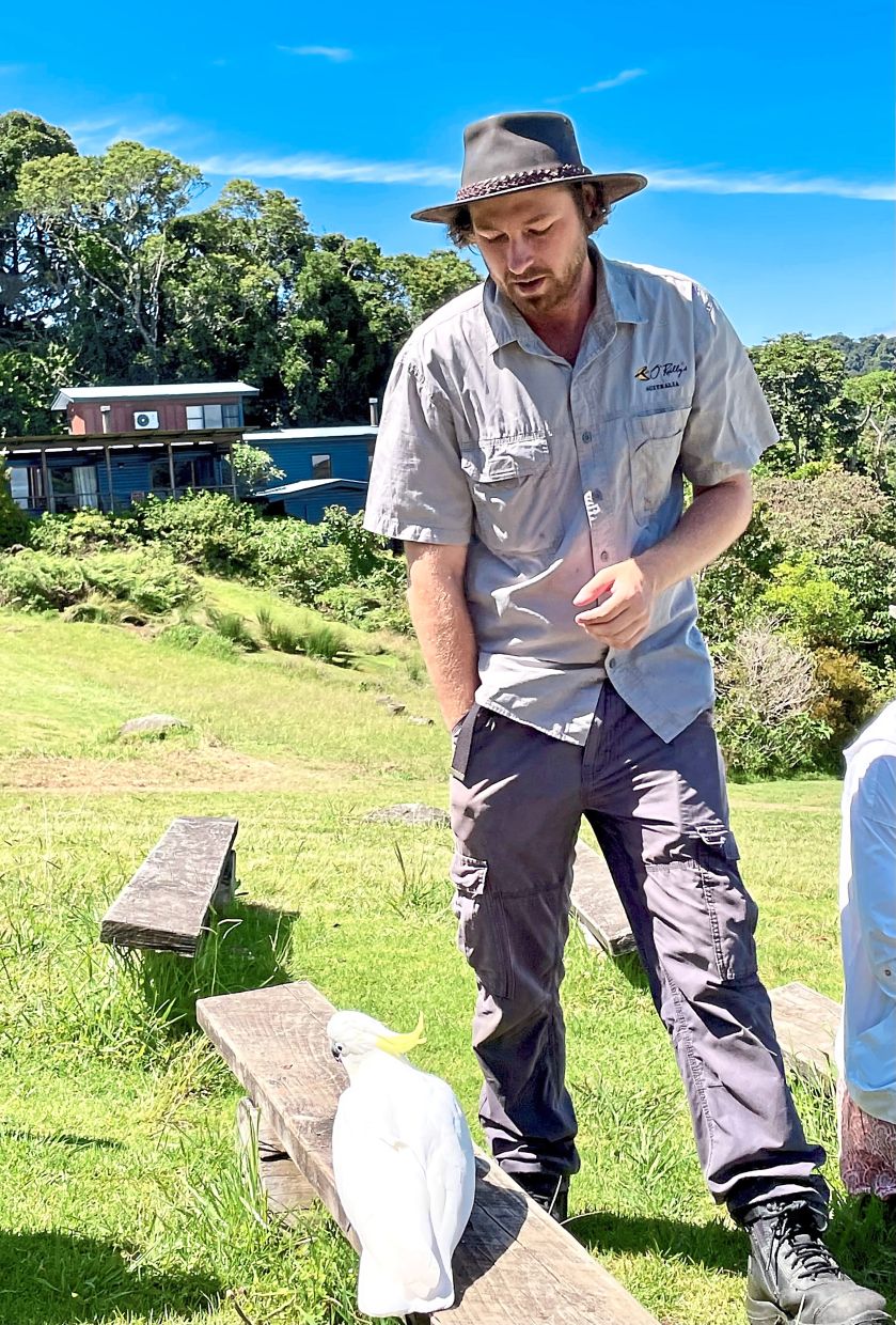 Explore Gold Coast's best kept secret: The Hinterland | The Star