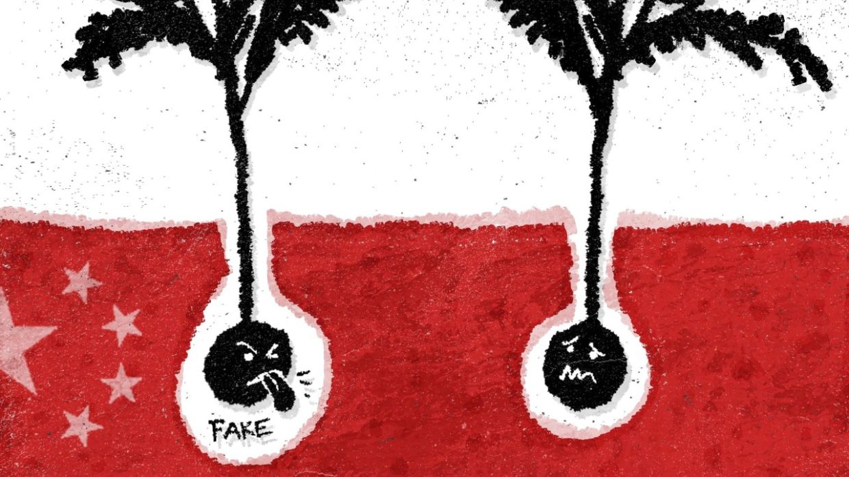 China food security: Why counterfeit seeds are stalling innovation in ...