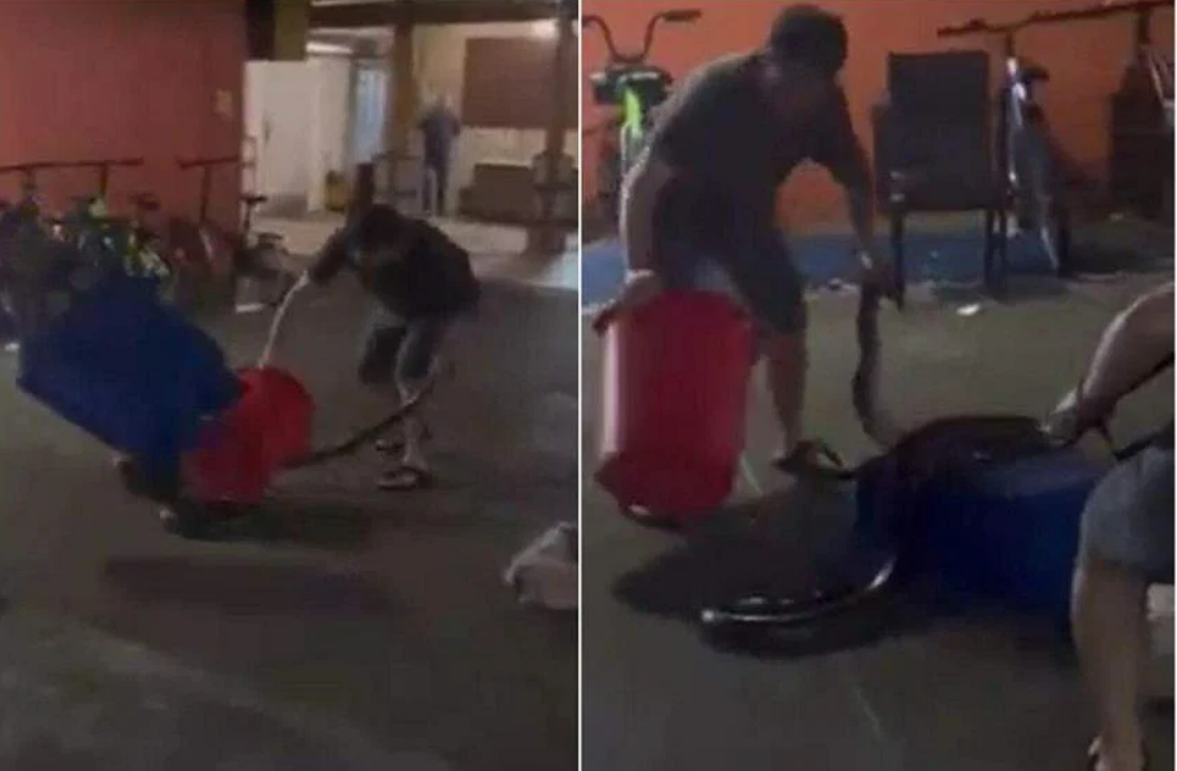 Authorities probing video of men abusing python and hacking its head ...