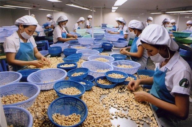 Vietnam: Ho Chi Minh City’s food processing sector seeks sustainable ...
