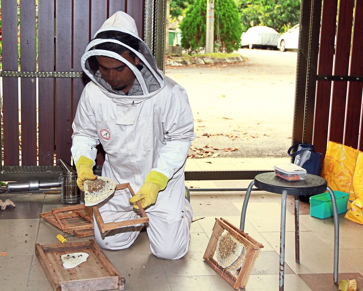 Saving the bee population | The Star