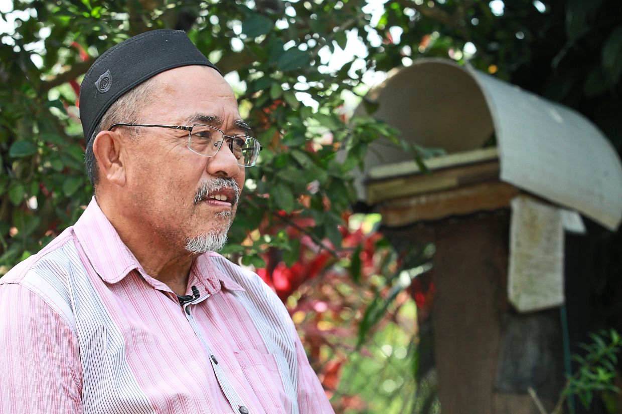 Saving the bee population | The Star