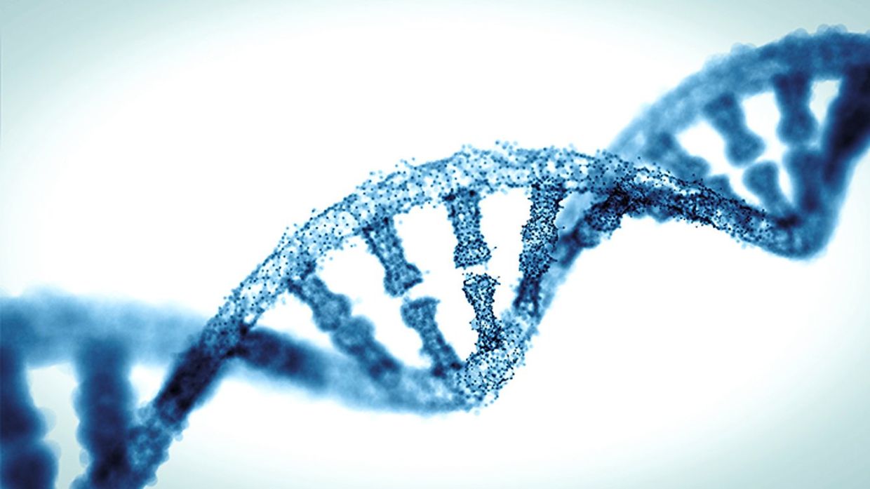 Important to mark DNA Day | The Star