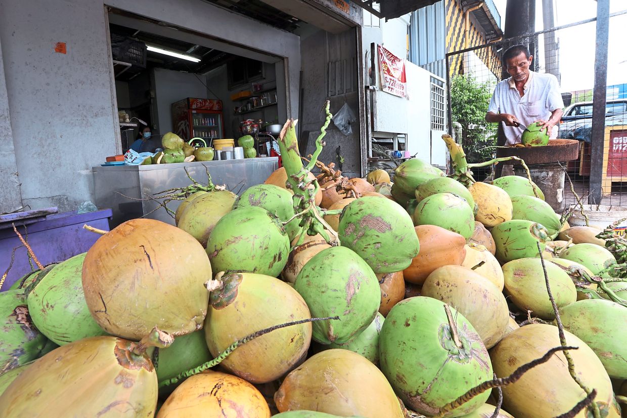 Battling the heat with coconut water in Johor | The Star