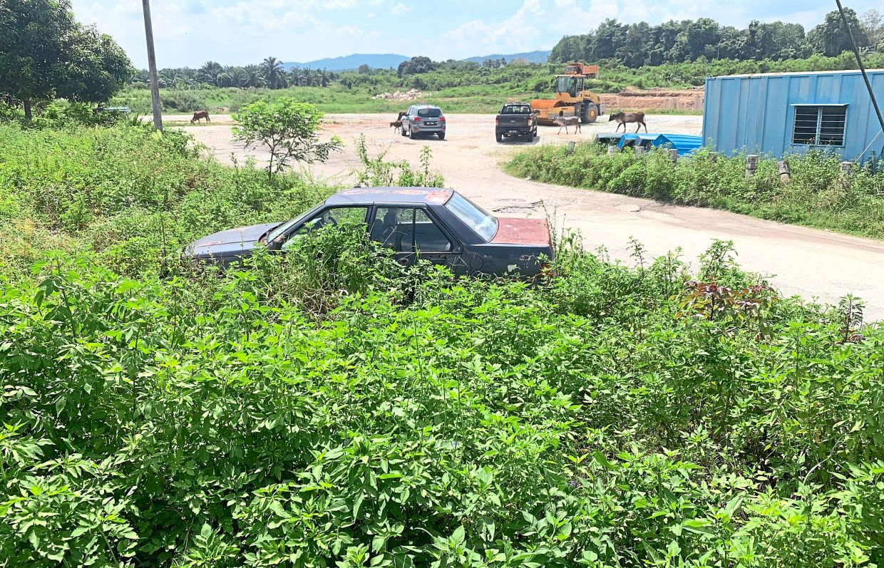 Collapsed bund cause for concern | The Star