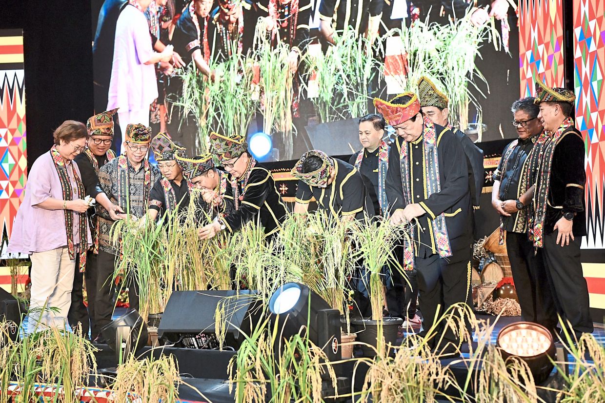 A month of statewide Kaamatan festivities kicks off in Sabah | The Star