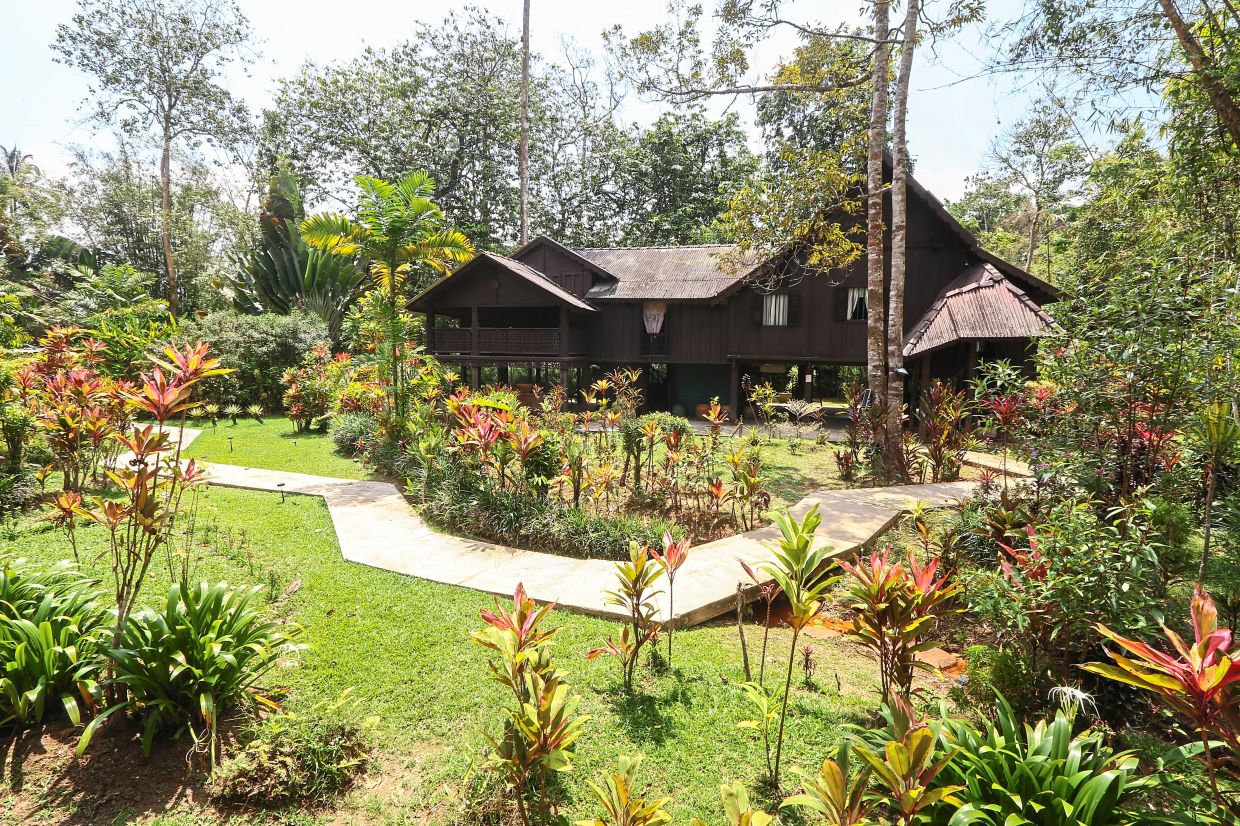 Formerly a paddy field, this Malaysian garden in Janda Baik is now a ...