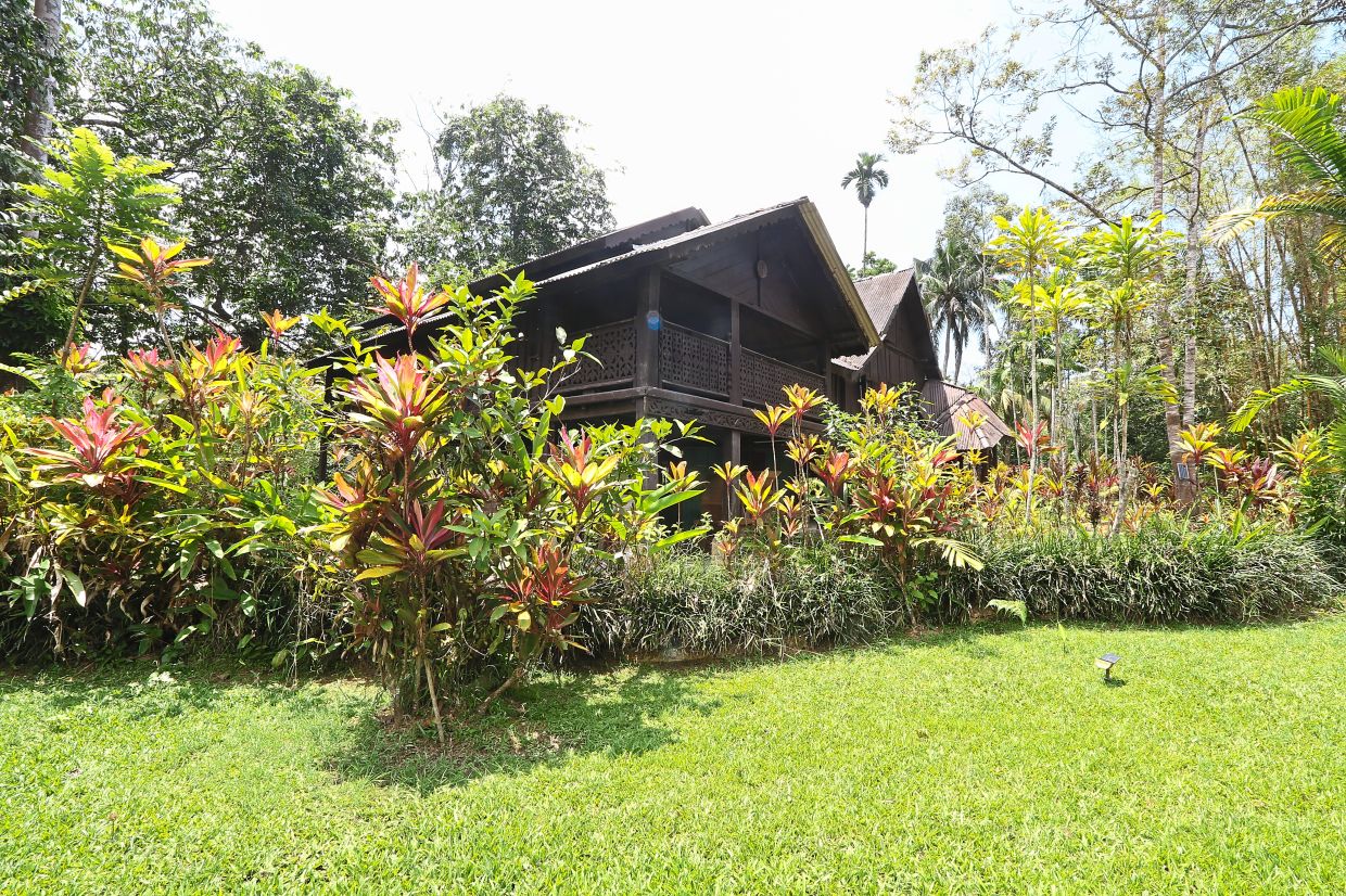 Formerly a paddy field, this Malaysian garden in Janda Baik is now a ...