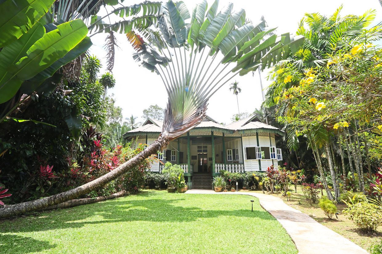 Formerly a paddy field, this Malaysian garden in Janda Baik is now a ...