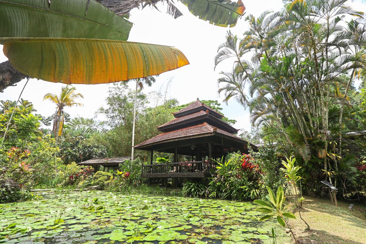 Formerly a paddy field, this Malaysian garden in Janda Baik is now a ...
