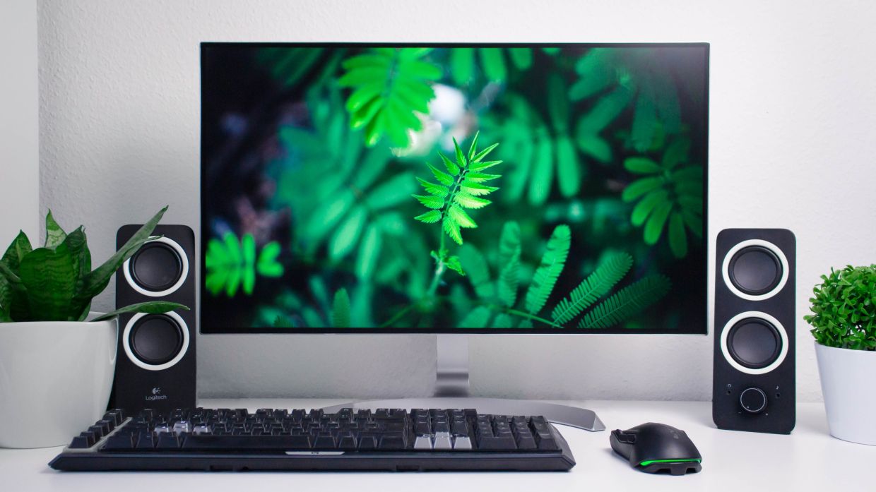 Decoding displays: What to look for when choosing a monitor | The Star