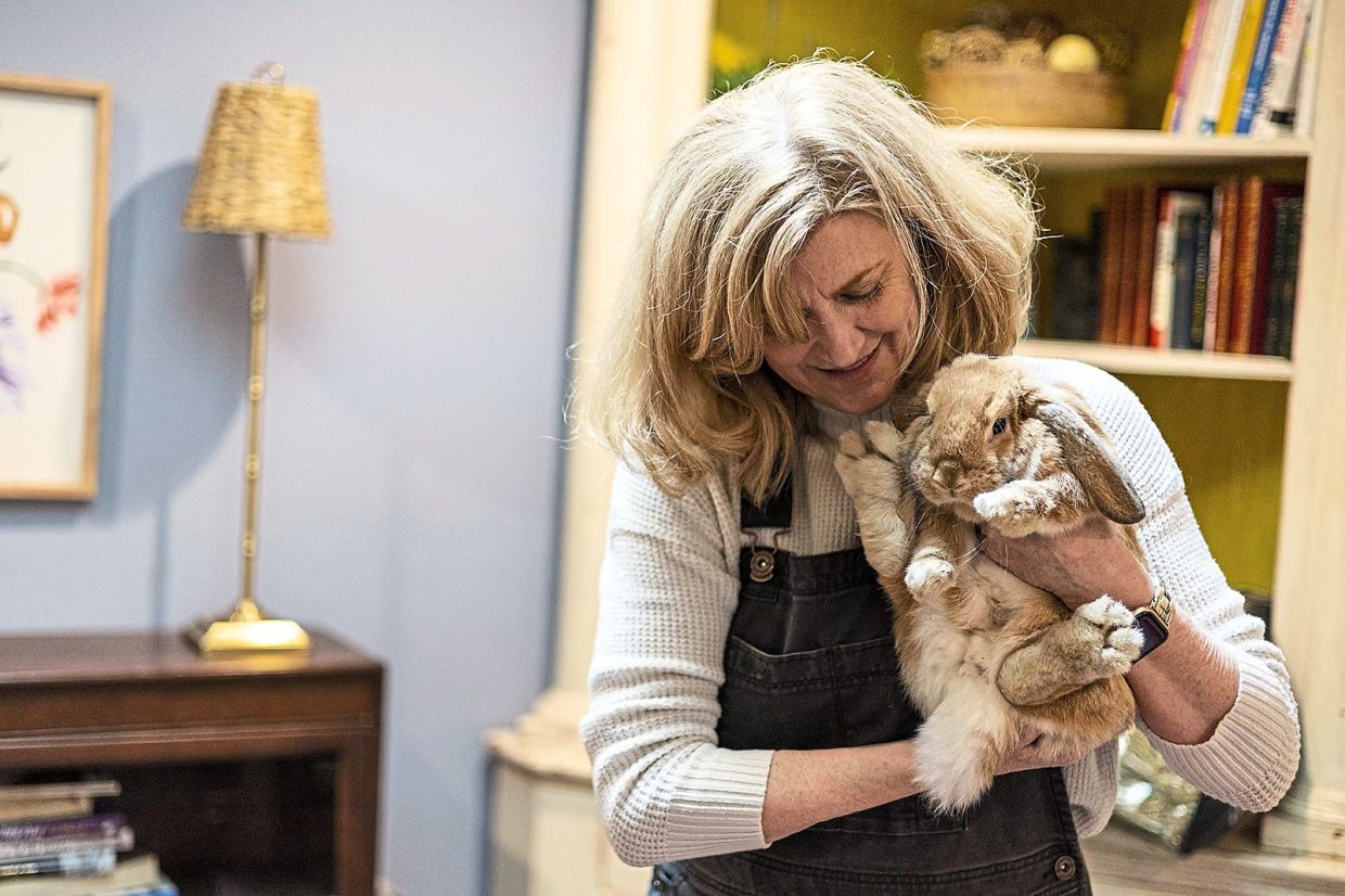 Smitten with rabbits, this woman turned her garage into a rabbit cafe ...