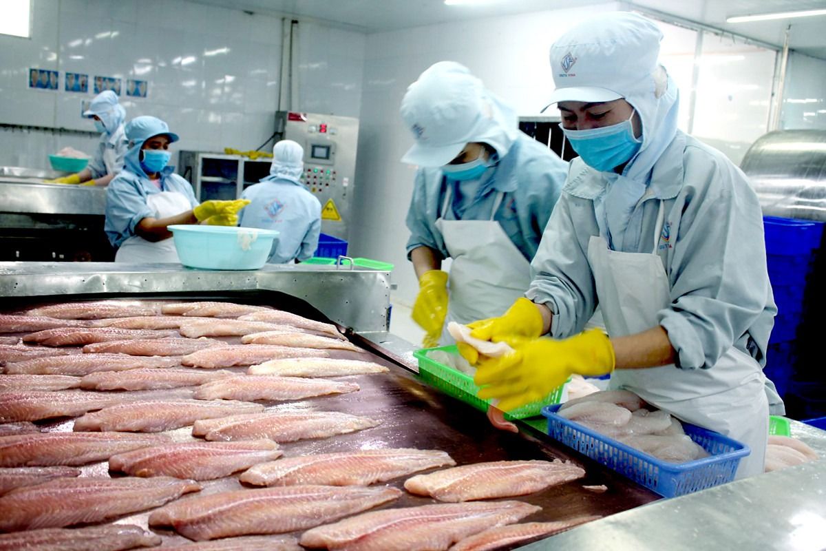 Vietnam's highly profitable seafood exports feel the pinch of global ...