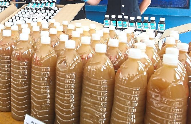 Stem the wave of addiction | The Star