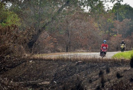 Measures in place to deal with open burning, haze, says Environment ...