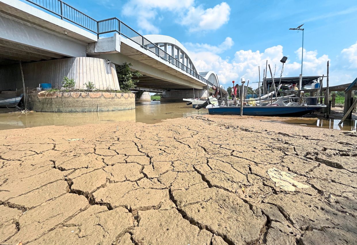 States must learn to share water | The Star