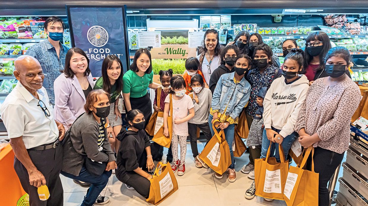Children from NGO home check out grocer’s indoor farming | The Star