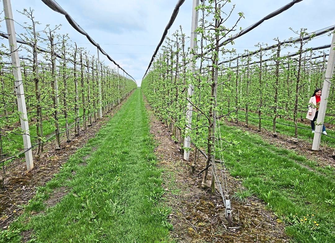 Poles apart from the rest | The Star