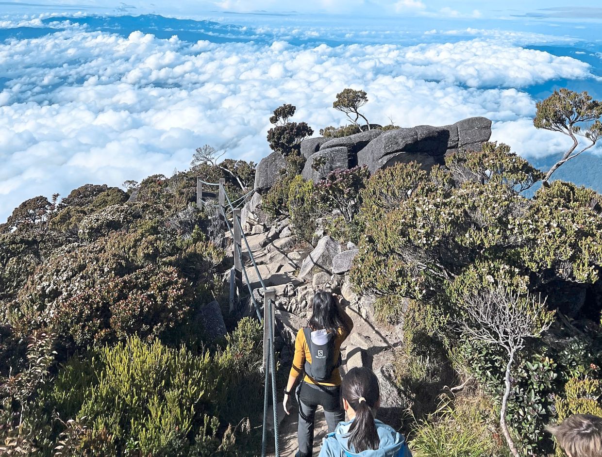 Conquering Kinabalu: A guide to scaling Malaysia’s highest mountain ...