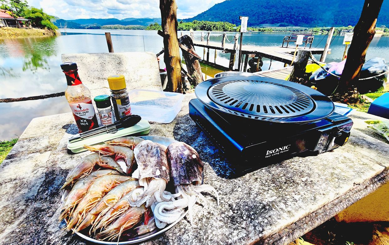Cook great, delicious meals while outdoors with a portable gas stove ...