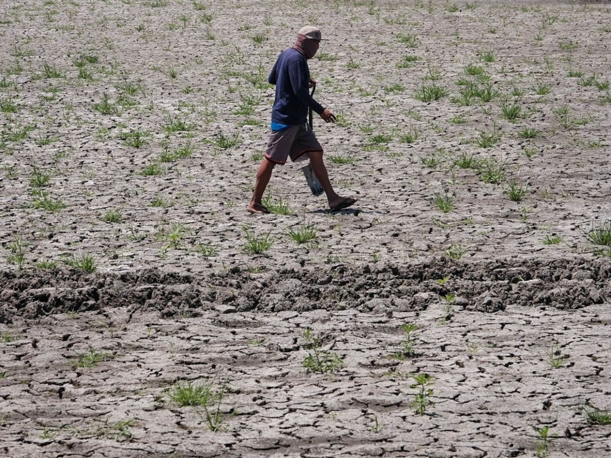 Climate: 'Dangerous heat' could afflict billions by 2100 | The Star