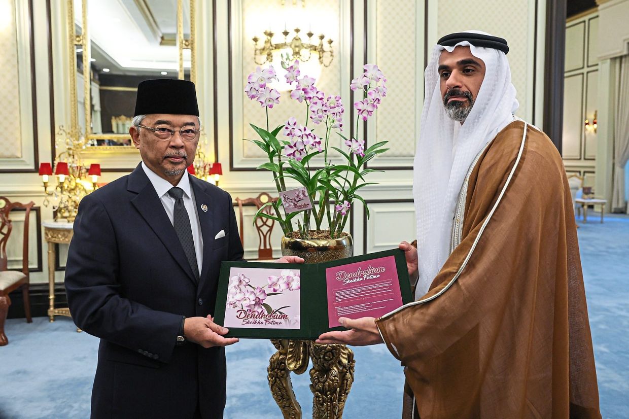 King confers ‘Tun’ title on Crown Prince of Abu Dhabi | The Star