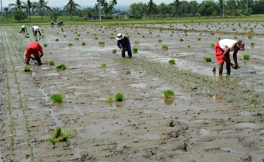 World Bank approves agri project to help farmers and fisherfolk in ...