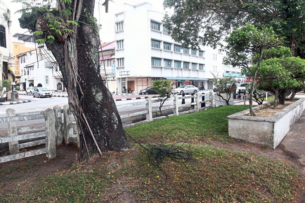 Iconic field in poor condition | The Star