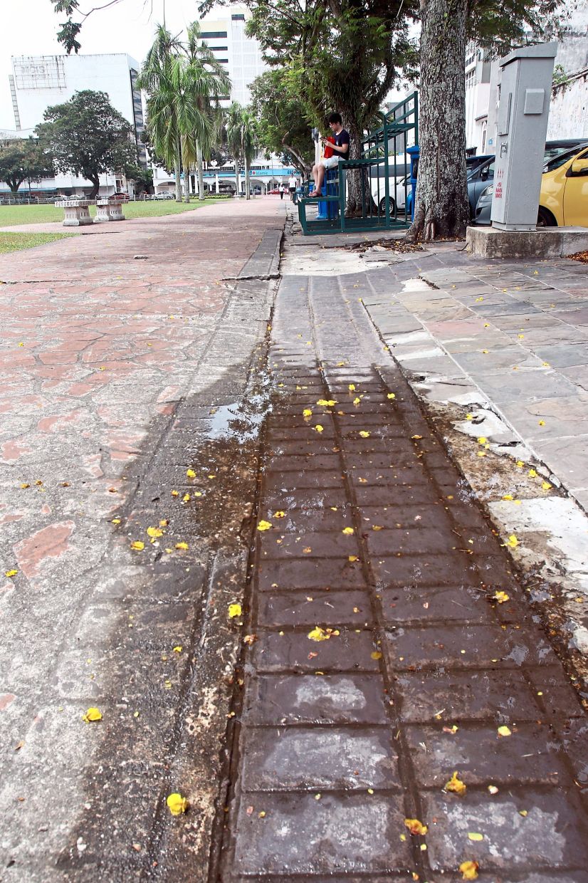 Iconic field in poor condition | The Star