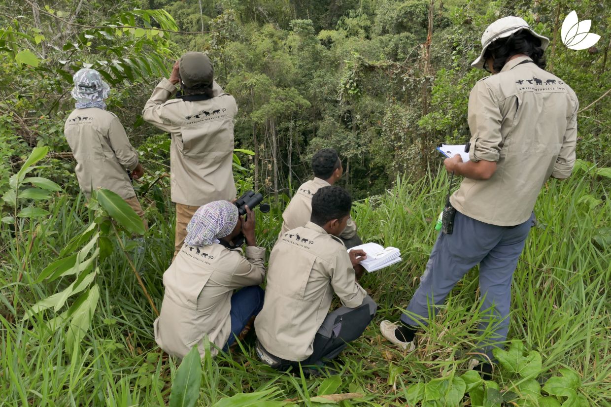 Serog ek, hutan kita, our forests | The Star