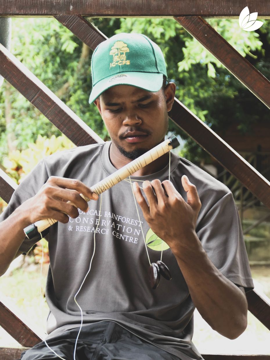 Serog ek, hutan kita, our forests | The Star