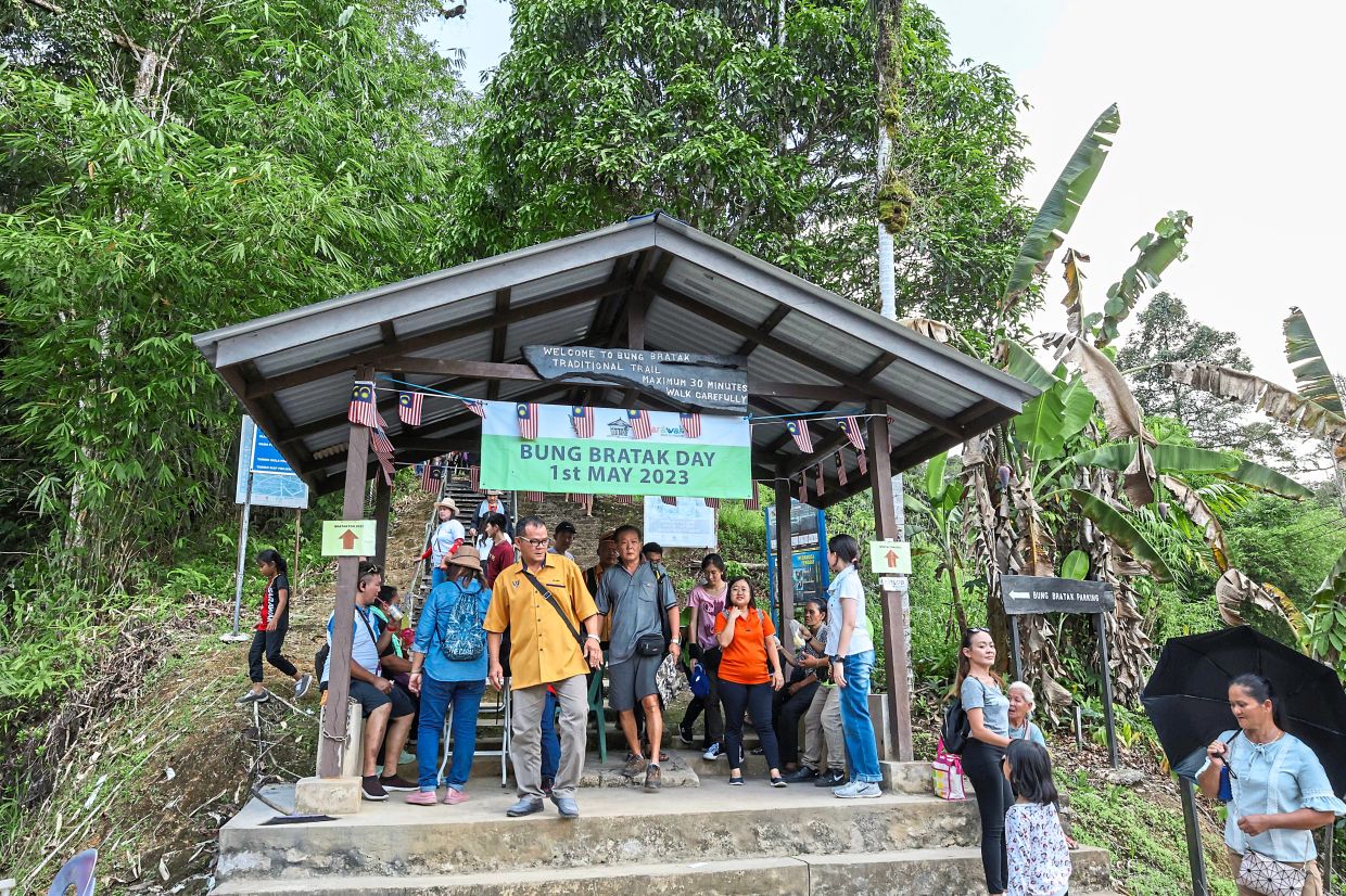 A day to show off Bidayuh heritage and culture | The Star