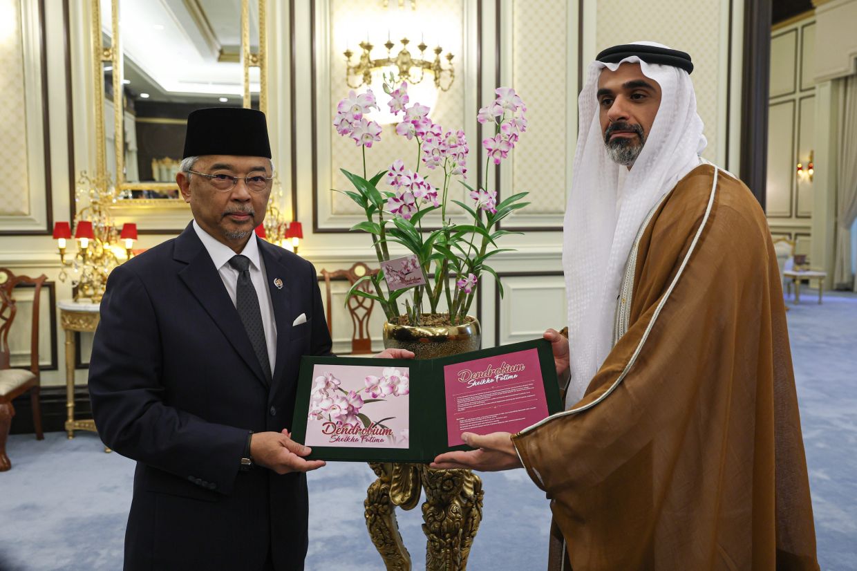 Winning the admiration of the rakyat | The Star