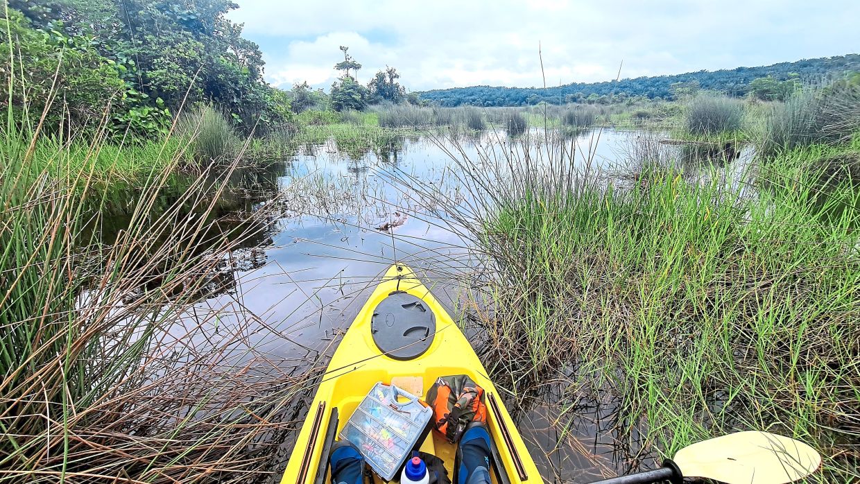 A lake that changes on every visit | The Star