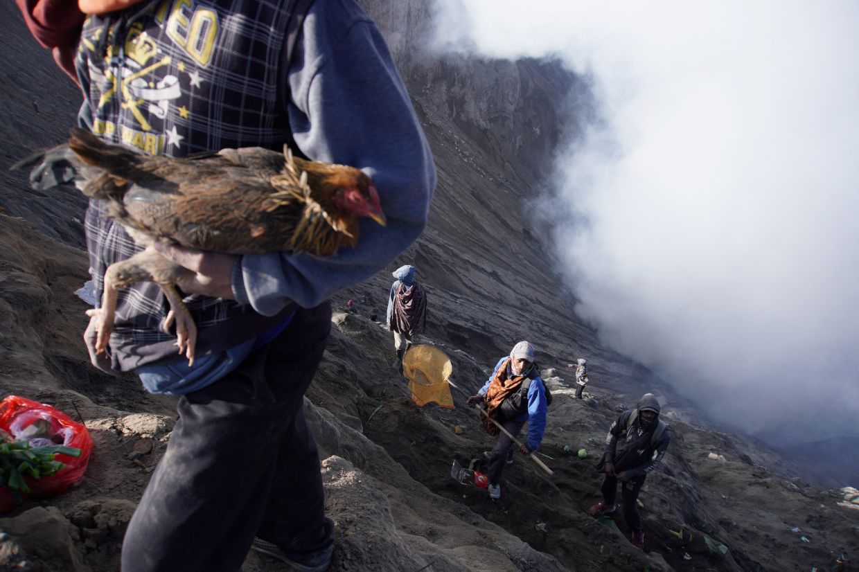 Indonesia volcano draws thousands for ritual sacrifice | The Star