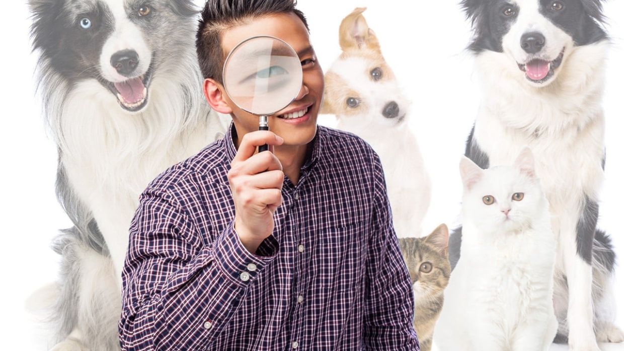 ‘Pet detectives’ who search, rescue and return lost ‘fur children’ to ...