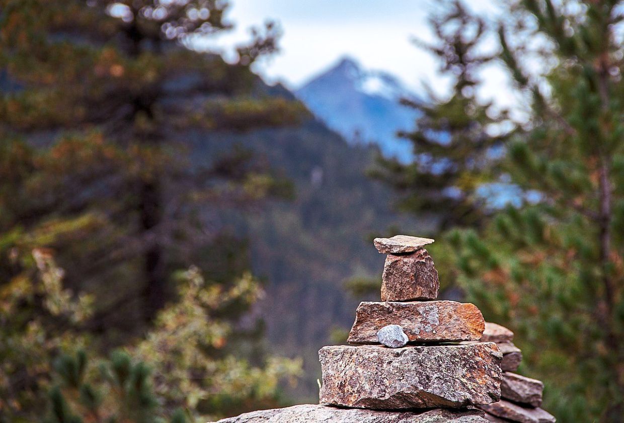 How to answer nature's call in the wilderness | The Star