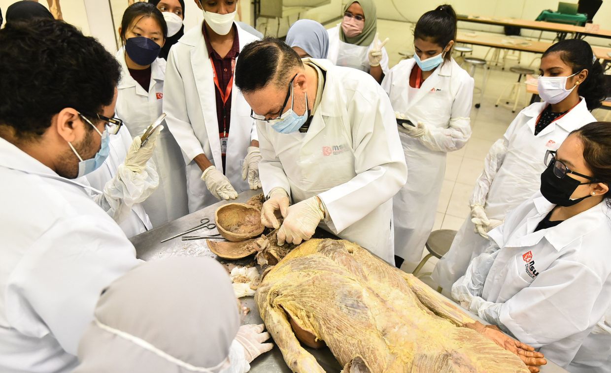 Health White Paper: Create better education opportunities in medical ...