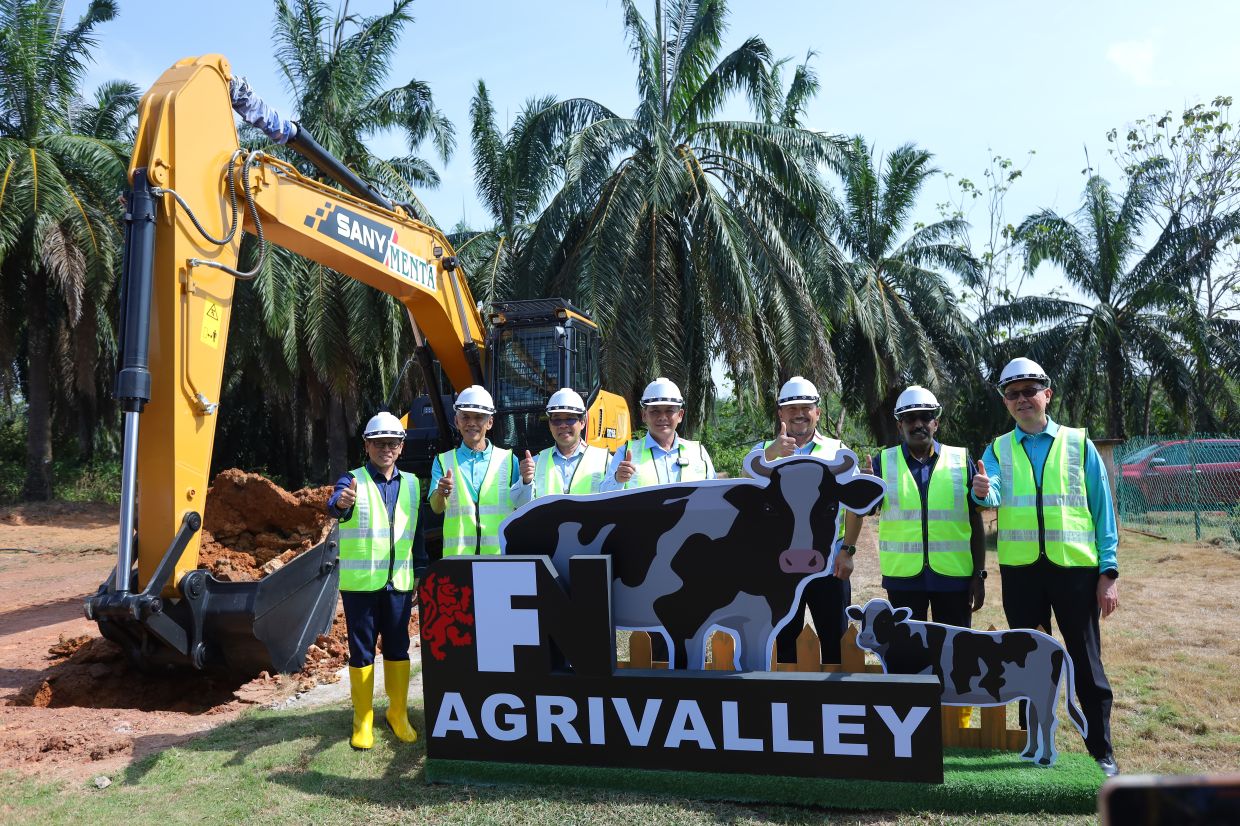 F&N to invest RM1bil in first phase of Gemas dairy farm | The Star