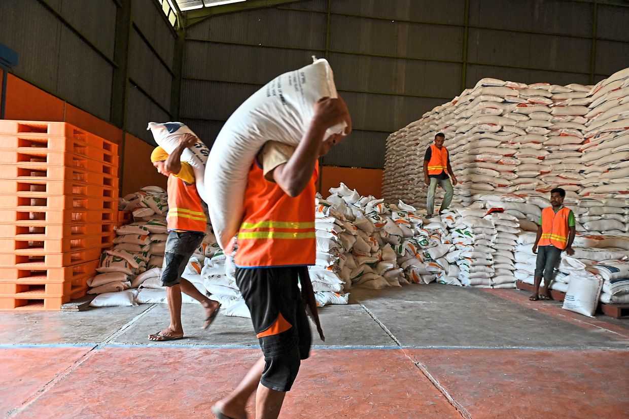 World’s rice glut will be put to the test with El Nino | The Star