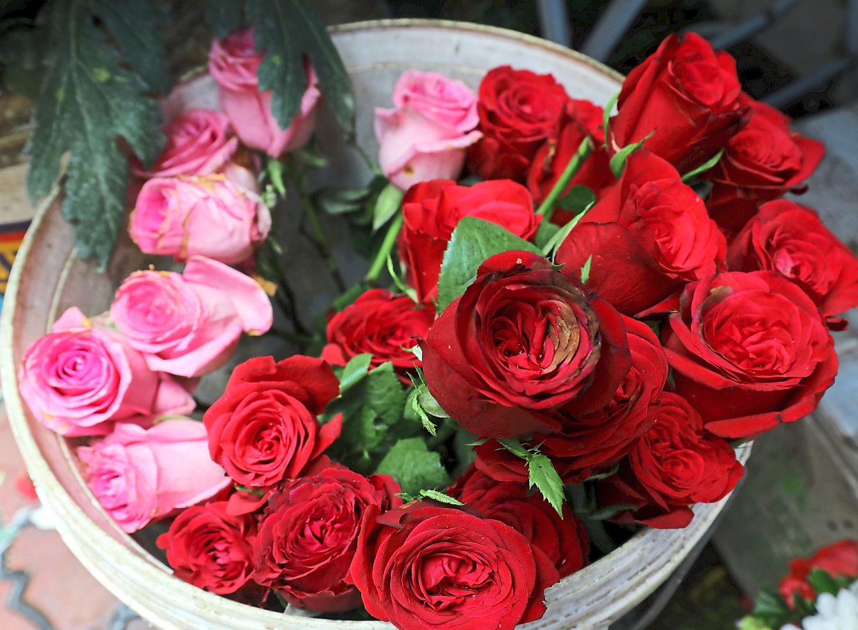 Blooming in Brickfields | The Star